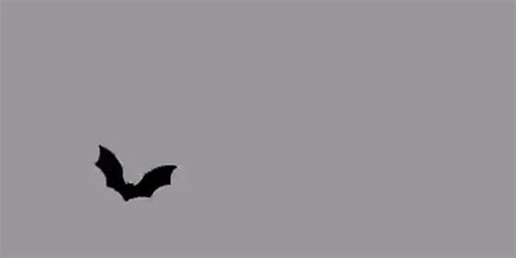 Flying Bat 