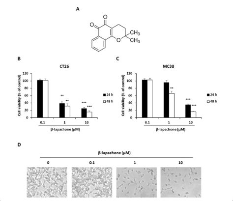 β Lapachone Decreases Viability Of Metastatic Murine Colon Carcinoma
