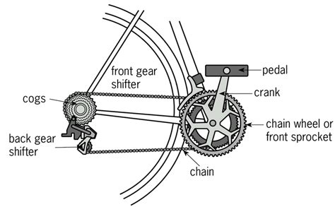 Bike Gears Diagram Cycling South America For Environmental Action