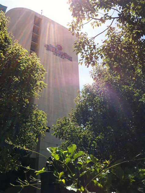 One Mans Dream Retlawyensid Com The Disneyland Pacific Hotel