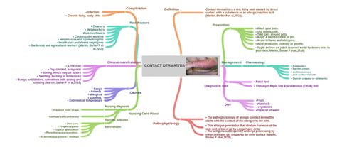 Contact Dermatitis Contact Dermatitis Coggle Diagram