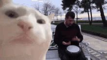 Cat Vibing Vibing Cat  Cat Vibing Vibing Cat Meme Discover