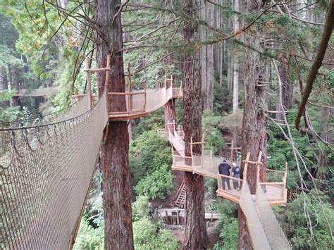 Trees Of Mystery Klamath 2020 All You Need To Know Before You Go