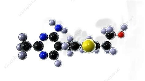 Vitamin B1 Molecule Stock Video Clip K0011330 Science Photo Library