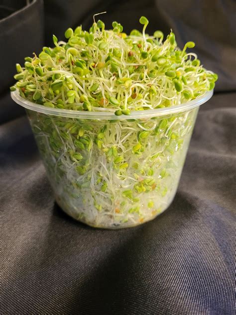 Sprouts Clover 3 0 Oz Wells Greens Farm