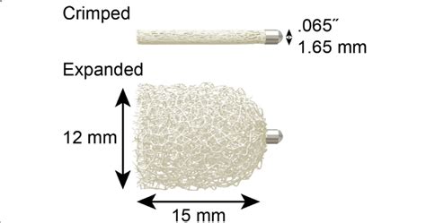 Illustrative Structure And Dimensions Of The Impede Fx Embolization Download Scientific Diagram