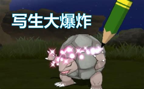 【精灵宝可梦究极日月】图图犬如何写生大爆炸哔哩哔哩bilibili