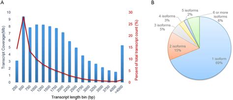 distribution of assembled transcript length and statistic of isoform