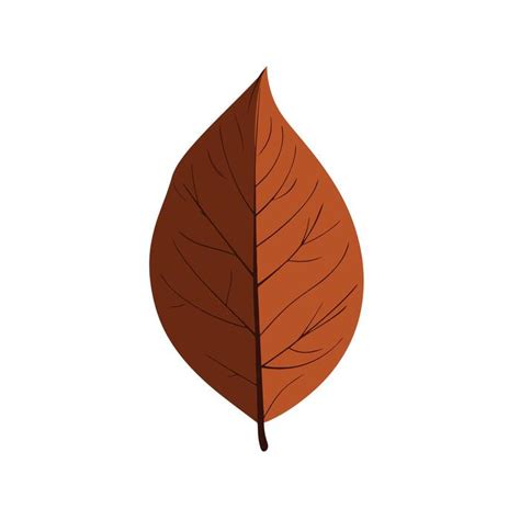 Brown Leaf Vector Art Icons And Graphics For Free Download