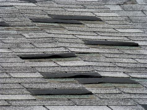 Shingle Maintenance Musts To Prolong The Life Of Your Roof Aandj