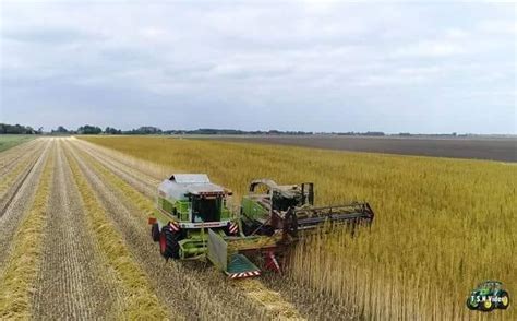 Mark Reinders Posted On Linkedin