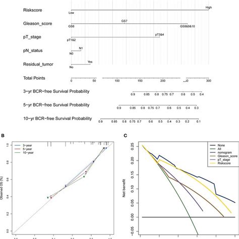 Pca Survival Nomogram Calibration Curve And Net Benefit Curves A