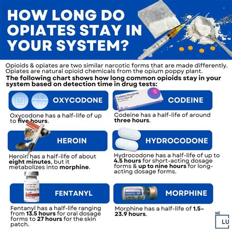 How Long Does Oxycodone Stay In Your System