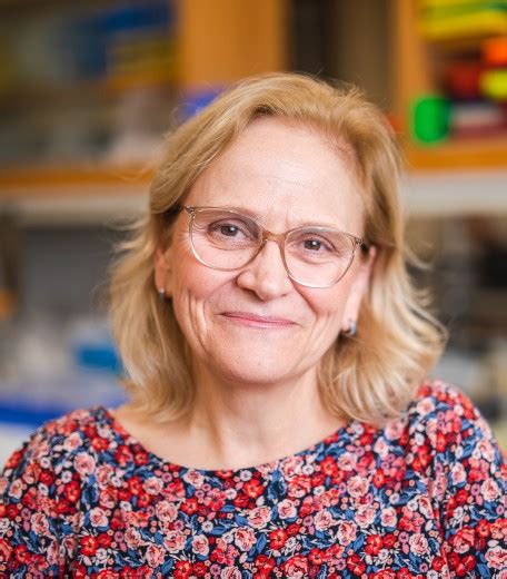 Susan Albertss Instagram Twitter And Facebook On Idcrawl