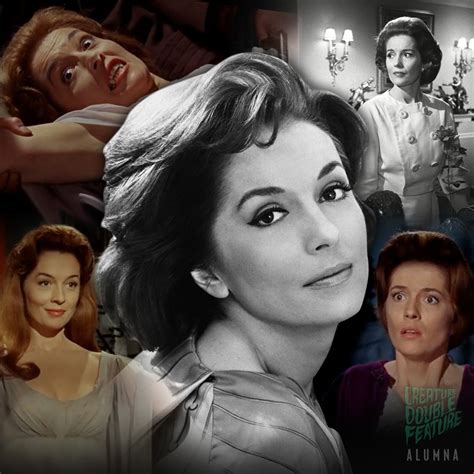 Happy Birthday To Cdf Alumna Barbara Shelley Cdfroundup