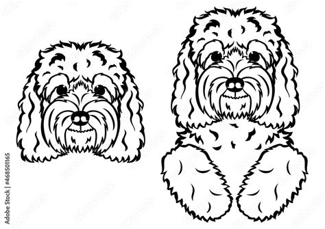 Cockapoo Head And Peeking Line Art Design Stock Vector Adobe Stock