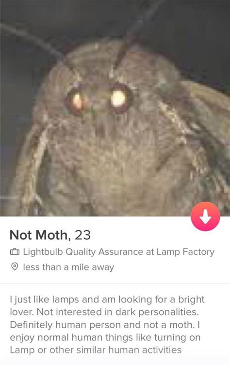 Pin By 🌼 Alannah 🌼 On ~meme Obsession~ Moth Scary Meme Funny Memes