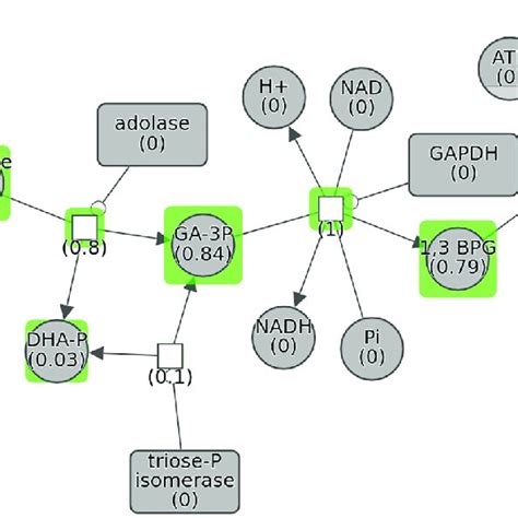 Normalized Betweenness Centrality Values In Part Of A Pathway Are Shown