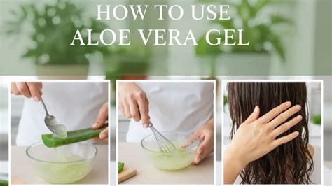 How To Use Aloe Vera Gel For Hair