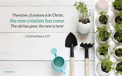 Background On 2 Corinthians Resources On 2 Corinthians Stonebrook