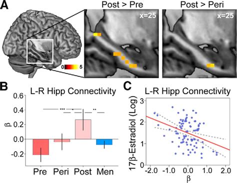 Impact Of Sex And Menopausal Status On Episodic Memory Circuitry In Early Midlife Journal Of