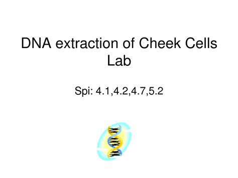 DNA Extraction Of Cheek Cells Lab Biological Science Picture Directory Pulpbits Net
