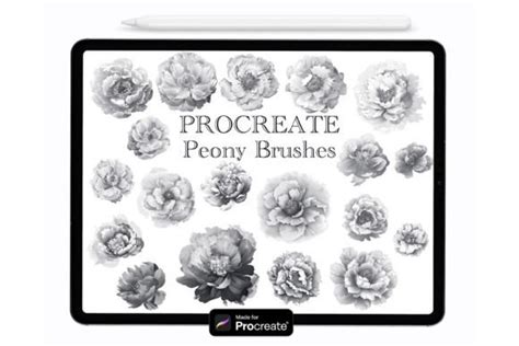 Procreate Peony Brushes Procreate Brush Graphic By Dreanartdesign