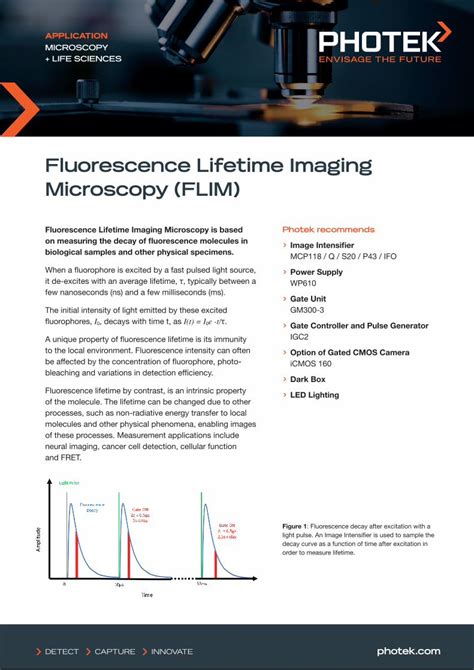 Pdf Fluorescence Lifetime Imaging Microscopy Flim Dokumentips