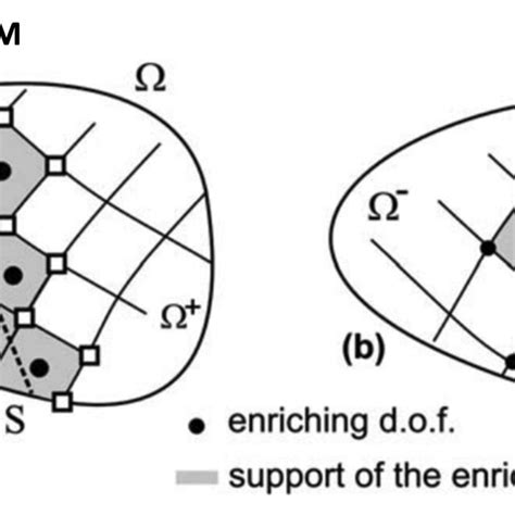 4 Schematic Presentation Of Enrichment Methods By The Sdm A And The