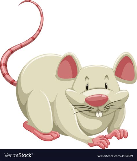 White Mouse Royalty Free Vector Image Vectorstock