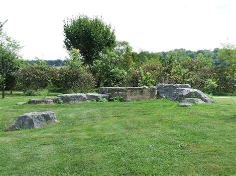 Premium Photo Stone And Grass