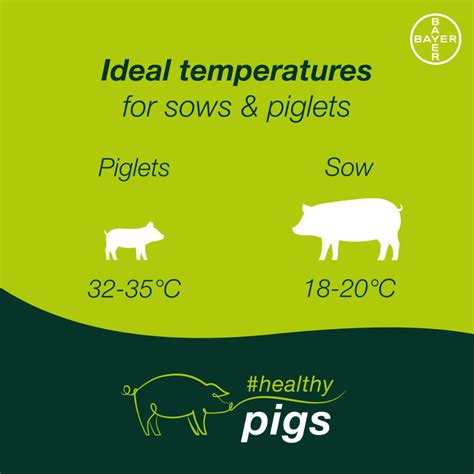 Elorm O Posted On Linkedin