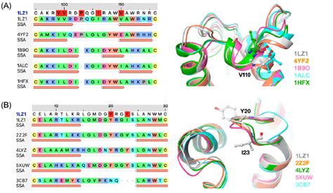 Common Alignment Issues Leading To Prediction Errors In The Human
