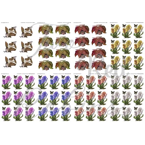 Two Red Robins Dancing In The Rain Web Exclusive Reflections Additional Colourways Download