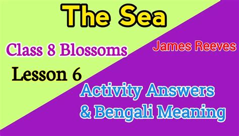 The Sea Class 8 Blossoms Questions Answers
