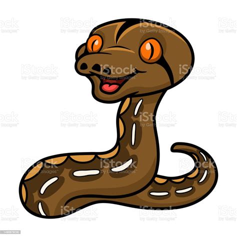 Kartun Python Reticulatus Harimau Lucu Ilustrasi Stok Unduh Gambar
