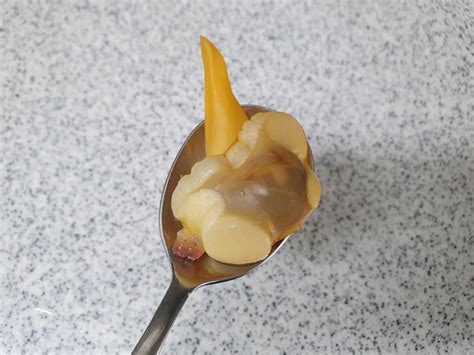 조개 해감방법 해루질넷