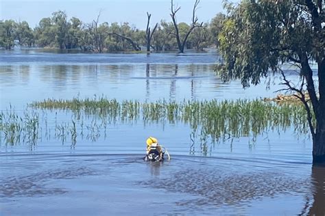 Dixie Sulda Abc News