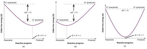 16 4 gibbs energy chemistry libretexts