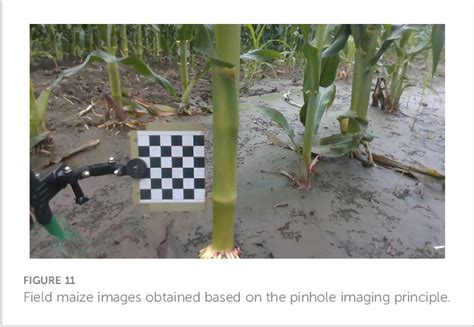 Figure 11 From Detection Of Maize Stem Diameter By Using Rgb D Cameras