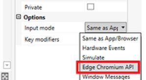 Type Into Click With Chromium API Is Not Supported For This Element Please Use Other Input