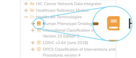 Terminology Data Type Documentation