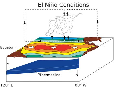 El Nino Upsc La Nina Enso And Walker Circulation