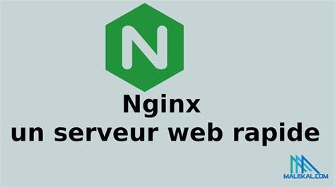 Nginx Un Serveur Web Rapide