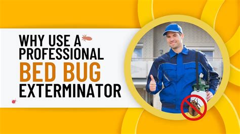 When To Call An Bed Bug Exterminator Youtube