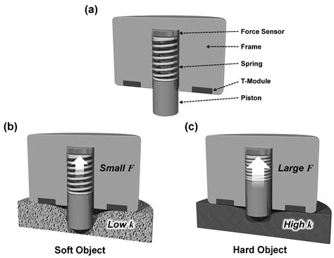 A Portable Stiffness Measurement System