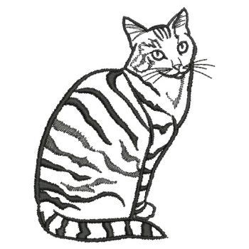 Tabby Cat Outline Tattoos