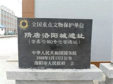 洛阳出土 天下第一粮仓”，千年粮食仍能发芽