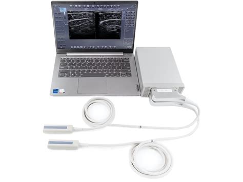 Simultaneous Scanning With Two Transducers Savanorių Pr 178a 03154