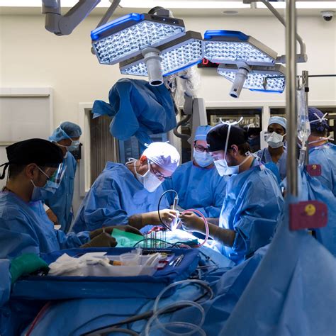 Hairy Cell Leukemia Nyu Langone Health